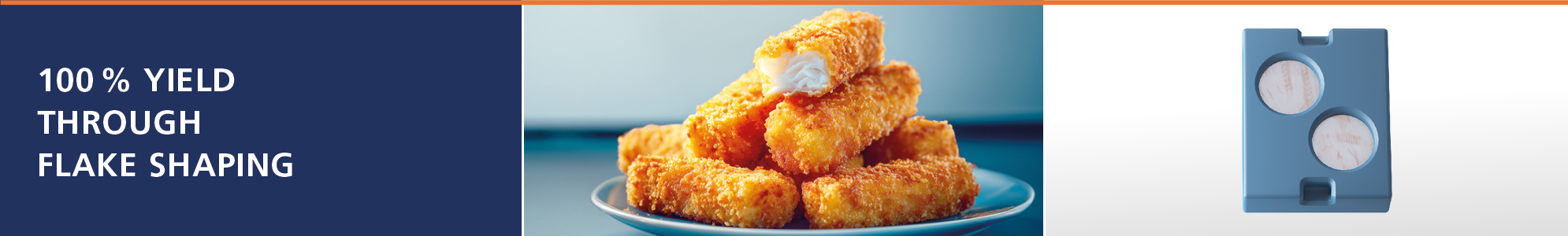 Flake Shaping: Expanding Possibilities in Frozen Fish Processing ...